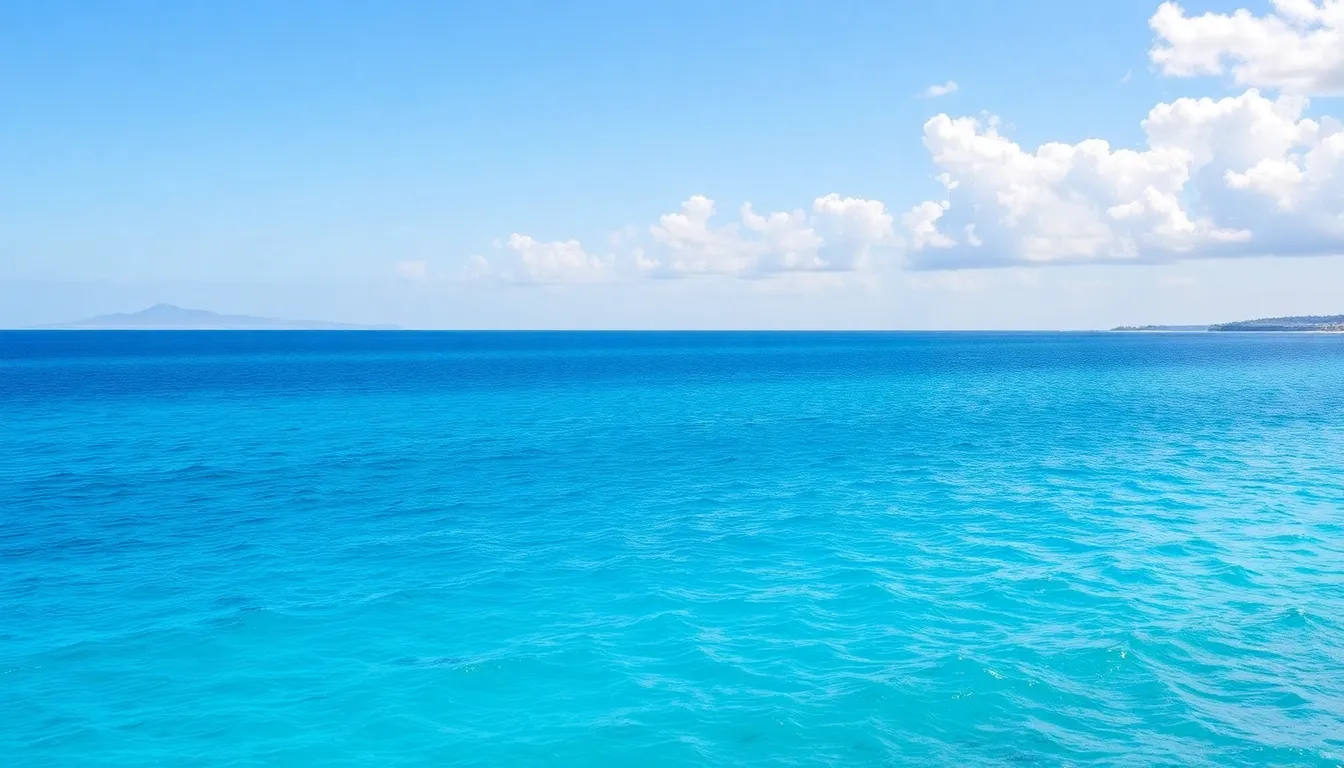 Descubre las 125 frases de despedida que nunca supiste que necesitabas ...